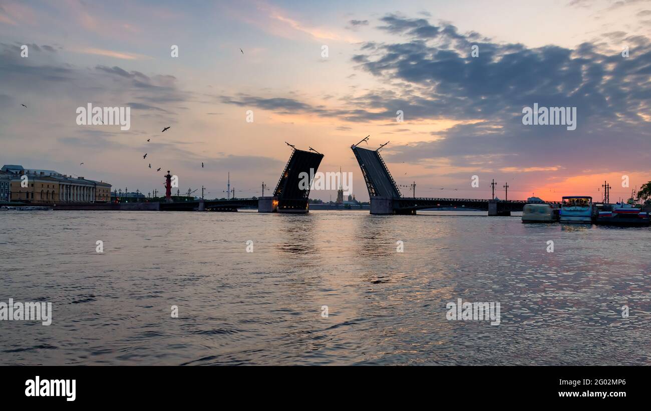 Palace Bridge on Neva river in white night in St Petersburg, Russia ...