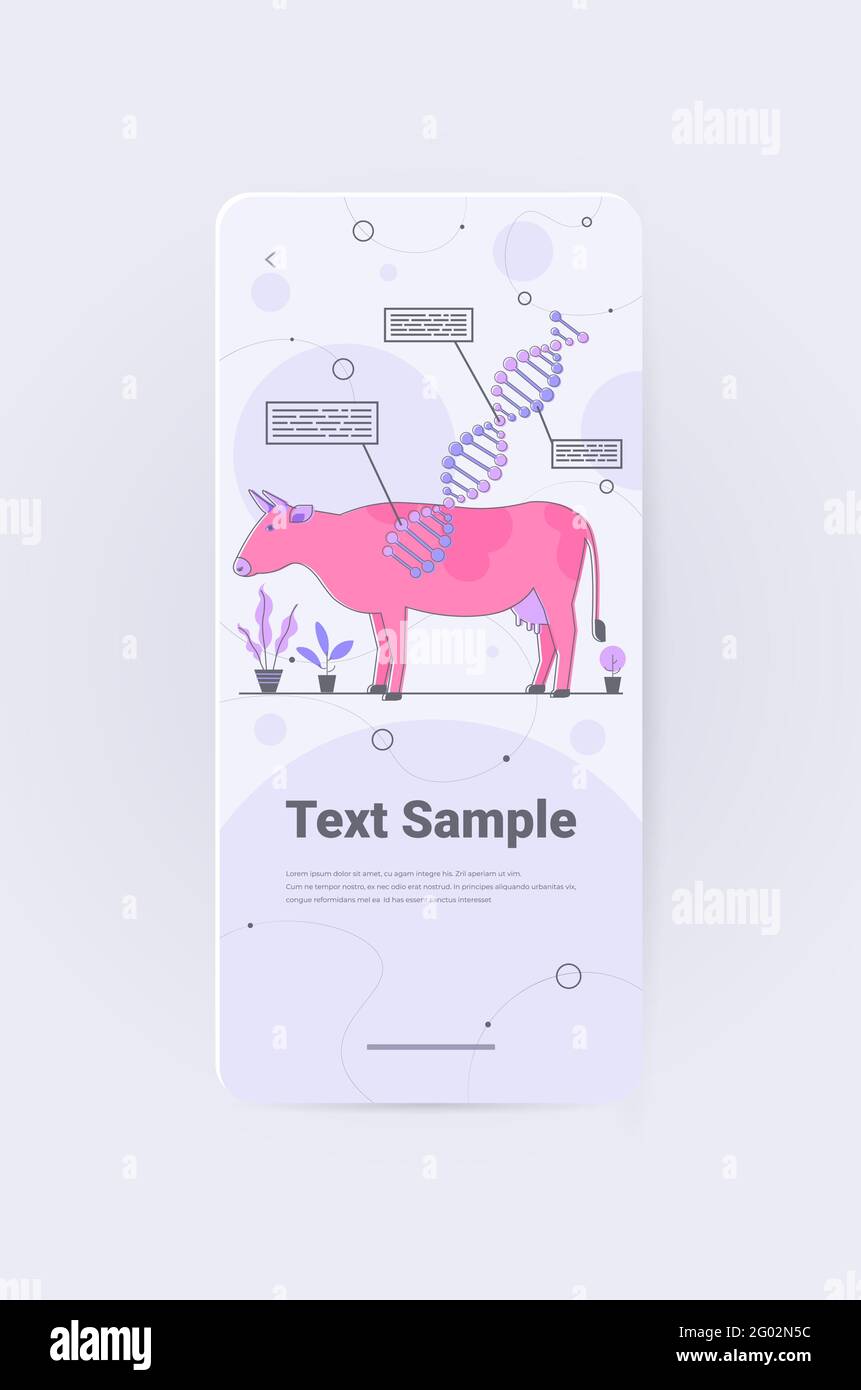 Dna structure cow hi-res stock photography and images - Alamy