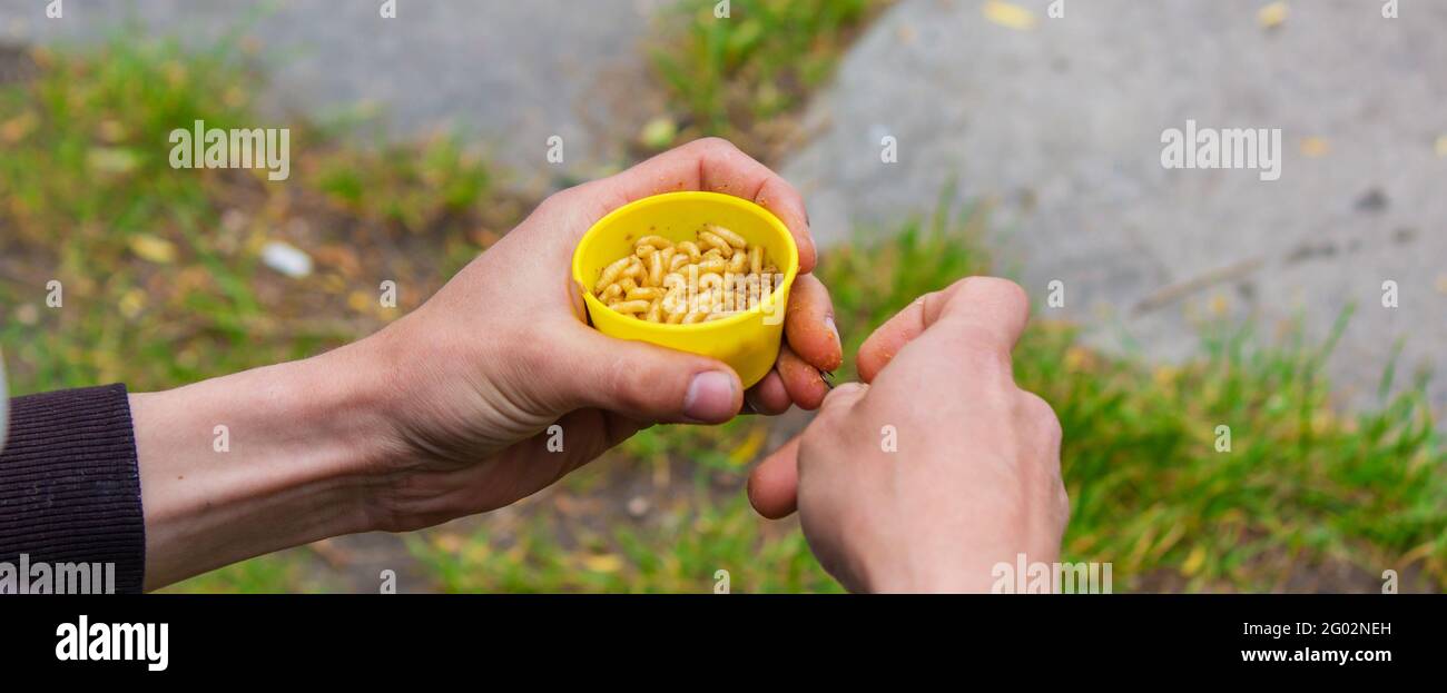 Fisherman puts bait on fishing hi-res stock photography and images - Alamy