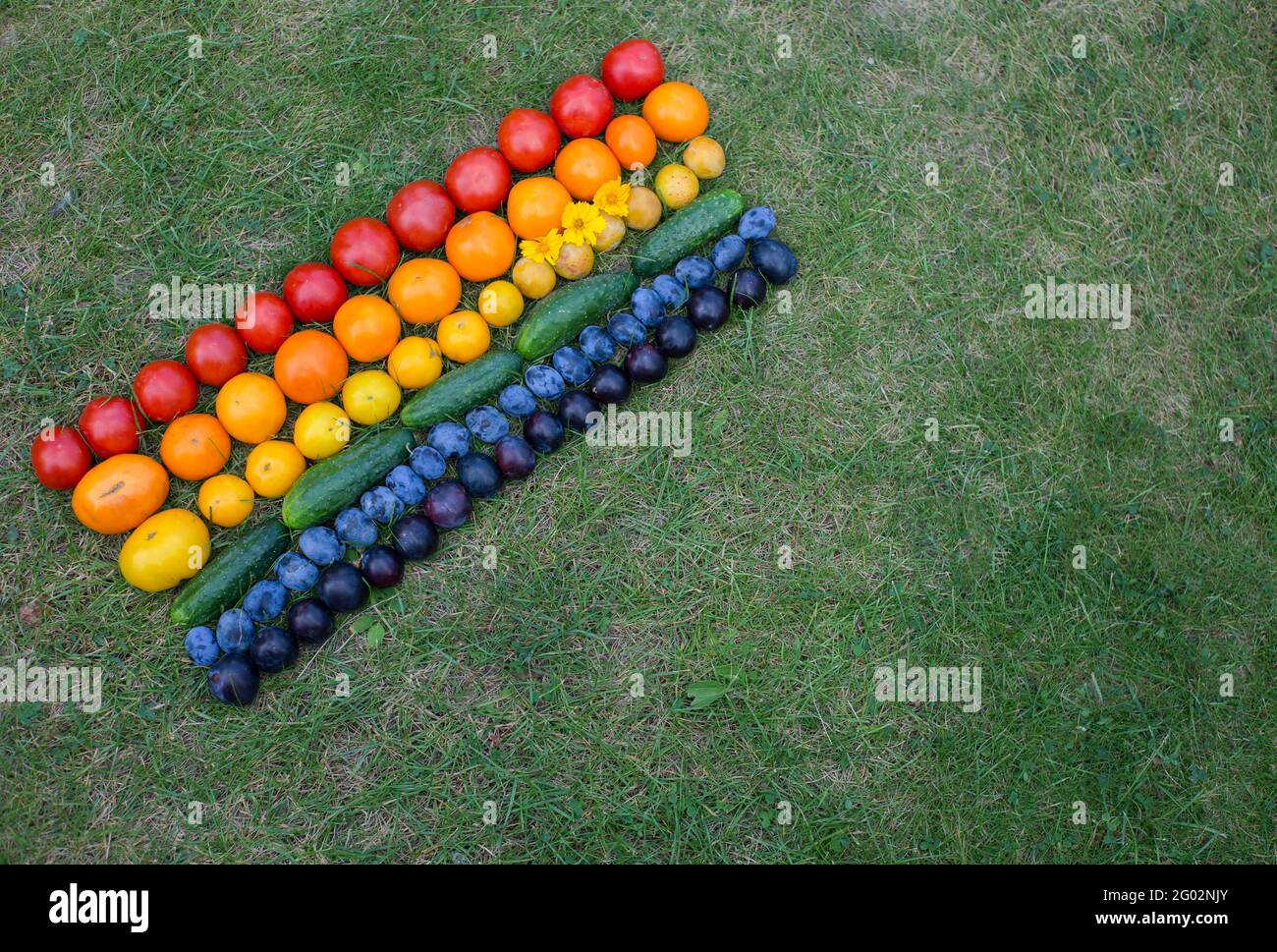 bright ripe multi-colored vegetables and fruits - tomatoes, cucumbers ...