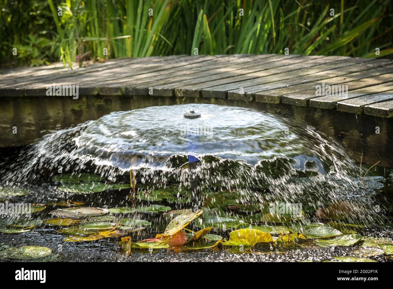 Splashing water in fountain pond hi-res stock photography and images ...