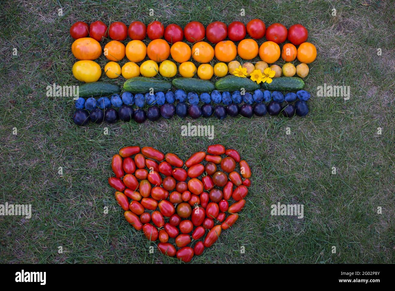 bright multi-colored vegetables and fruits - tomatoes, cucumbers and ...