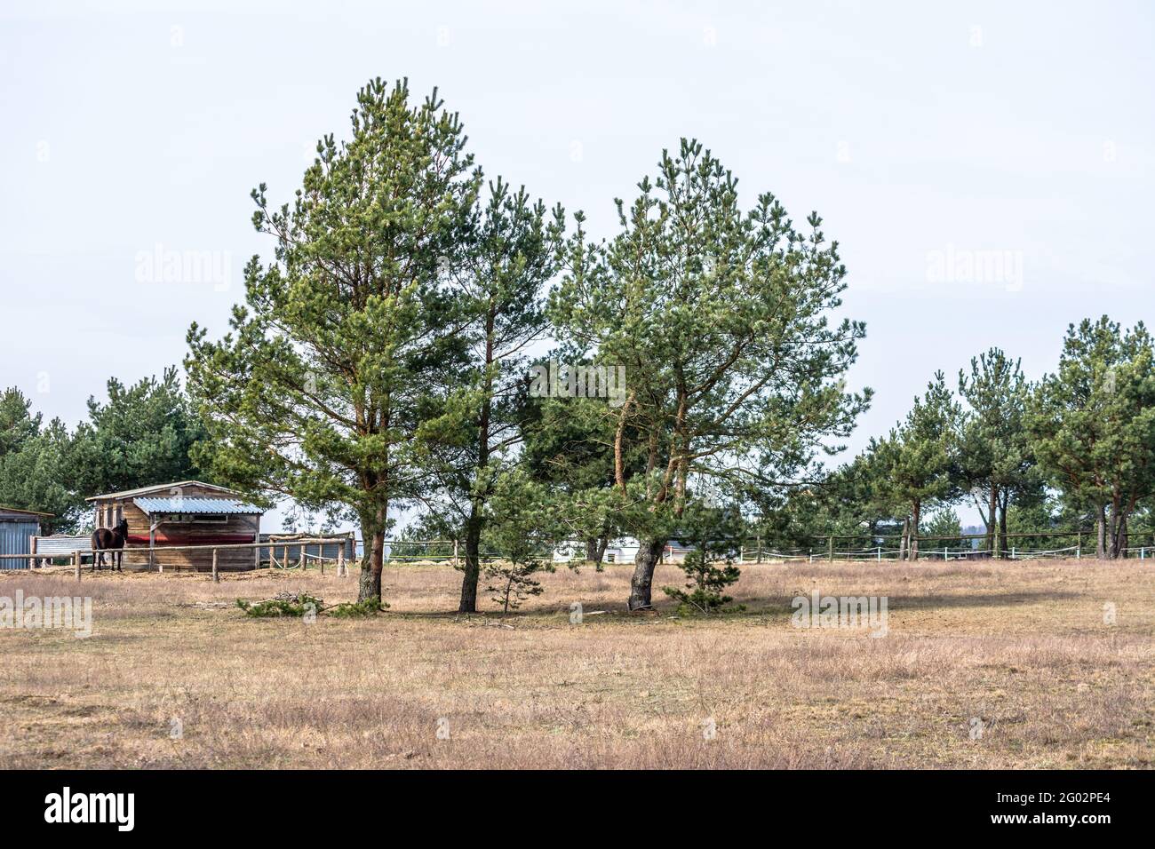 Beautiful countryside landscape with horse on the ranch, western ...
