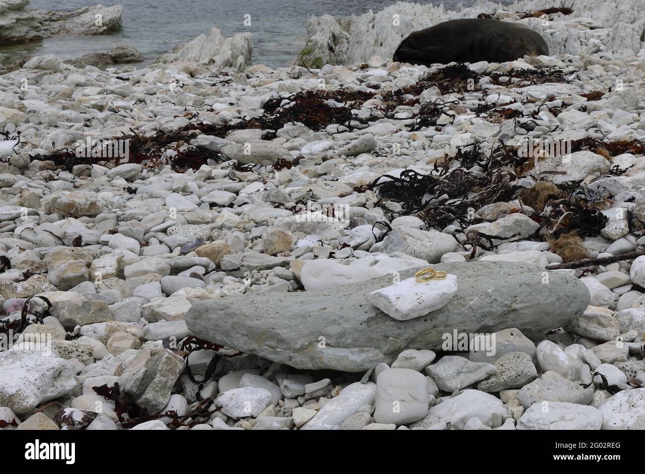 Ringe strand hi-res stock photography and images - Alamy