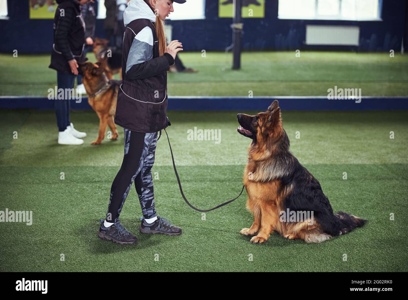 Professional female dog handler training hi-res stock photography and ...