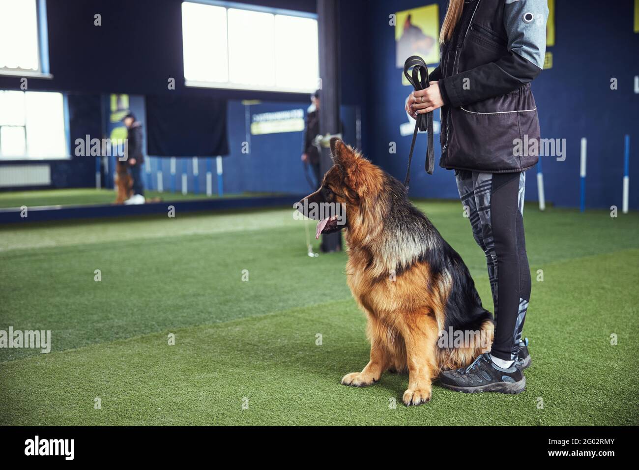 Professional female dog handler training hi-res stock photography and ...