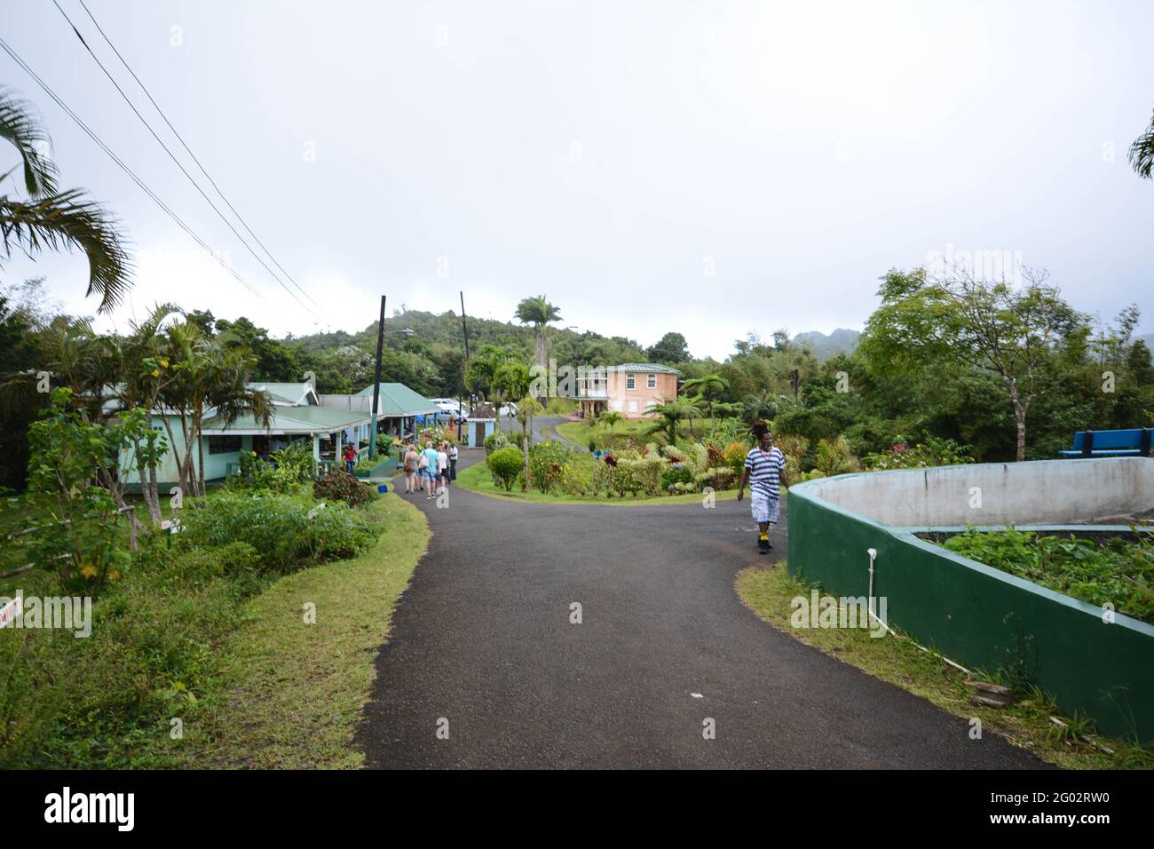 Palm trees and house Grenada Caribbean Island walker man tourist ...