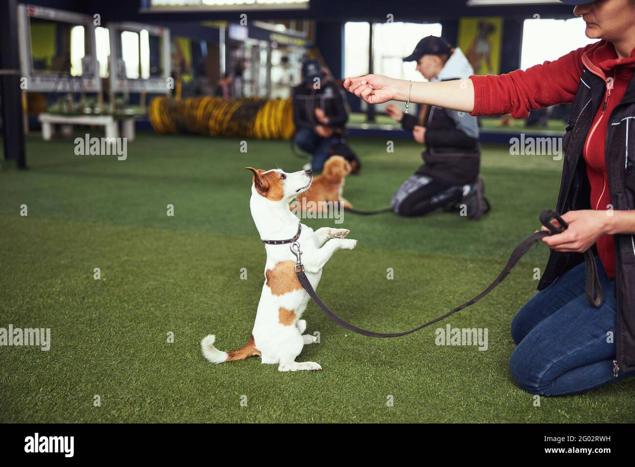 Professional dog trainer hi-res stock photography and images - Alamy