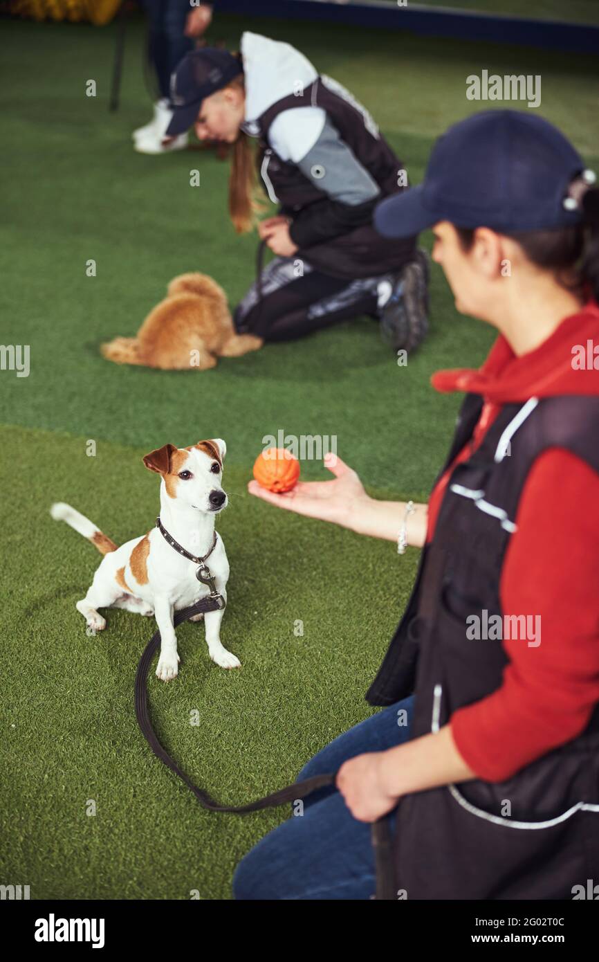 Professional trained hi-res stock photography and images - Alamy