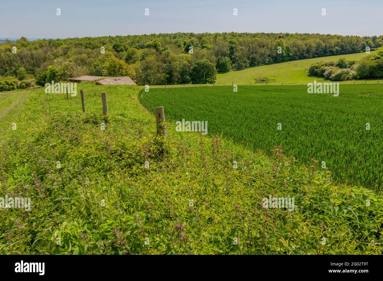 The remains of a World War Two Pill Box / Defence Position Stock Photo ...