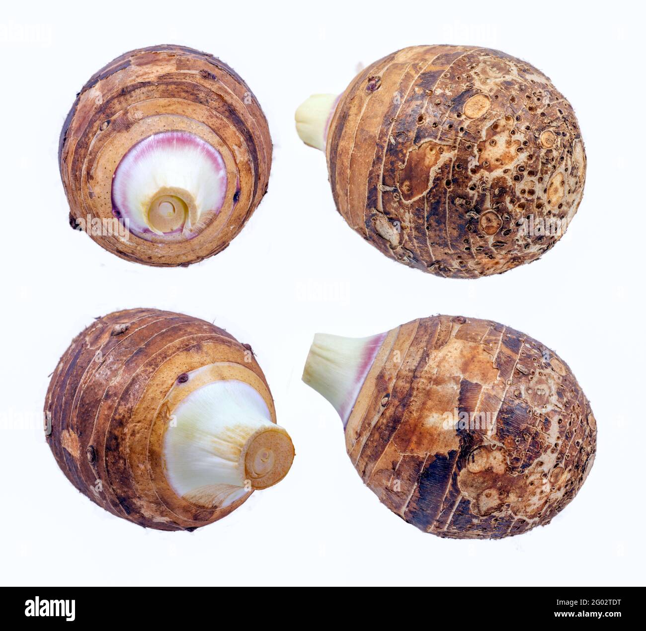 Taro or water root hi-res stock photography and images - Alamy