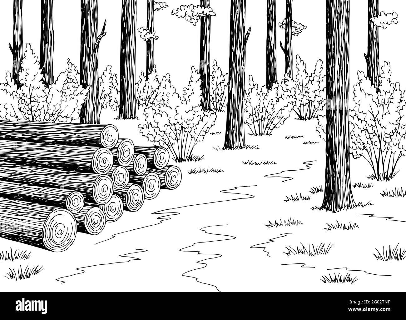 Logs cut in the forest graphic black white landscape sketch ...