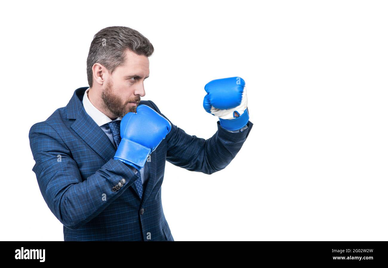 confident businessman man in suit and boxing gloves punching isolated ...