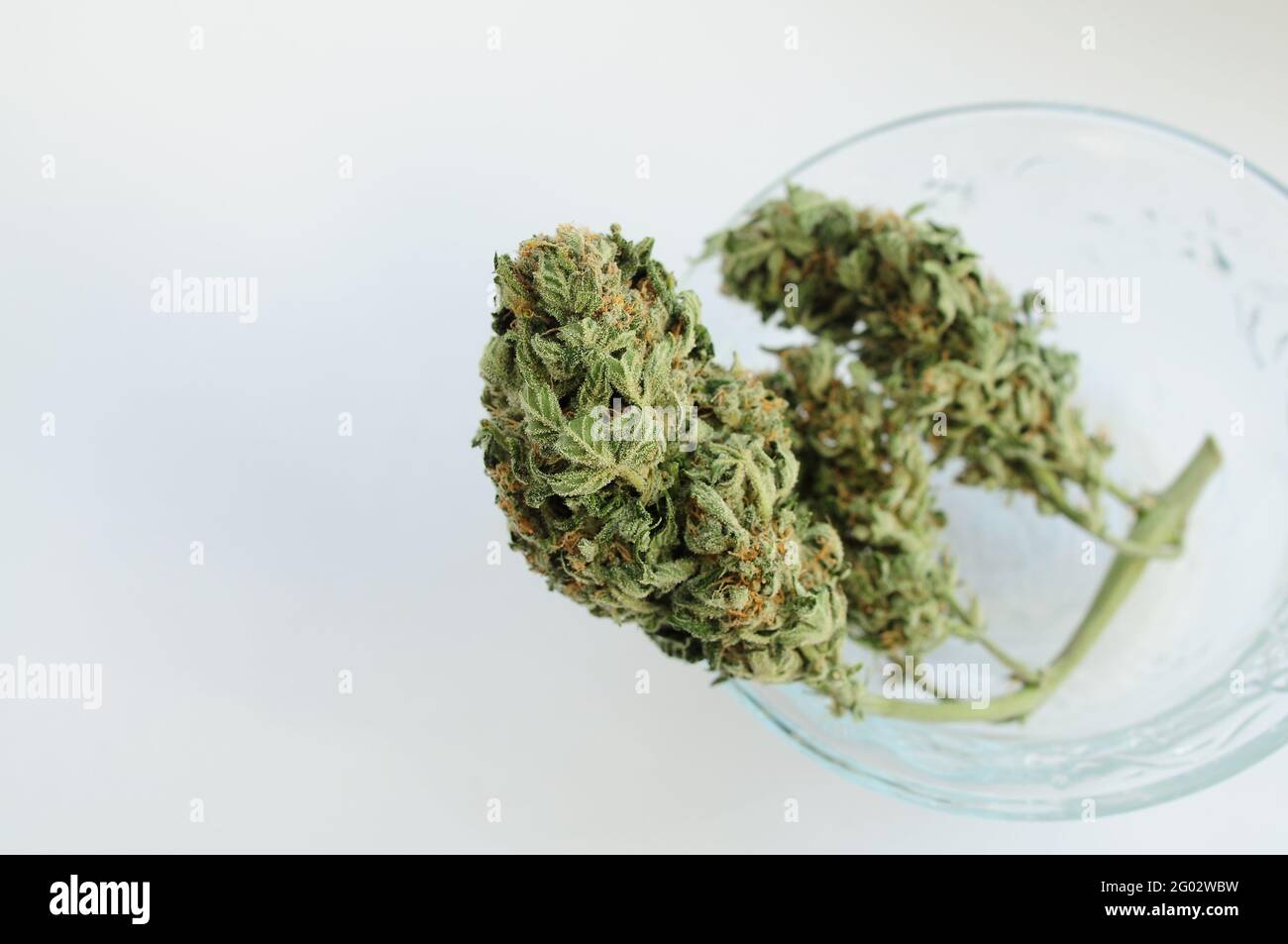 Drying and curing cannabis hi-res stock photography and images - Alamy