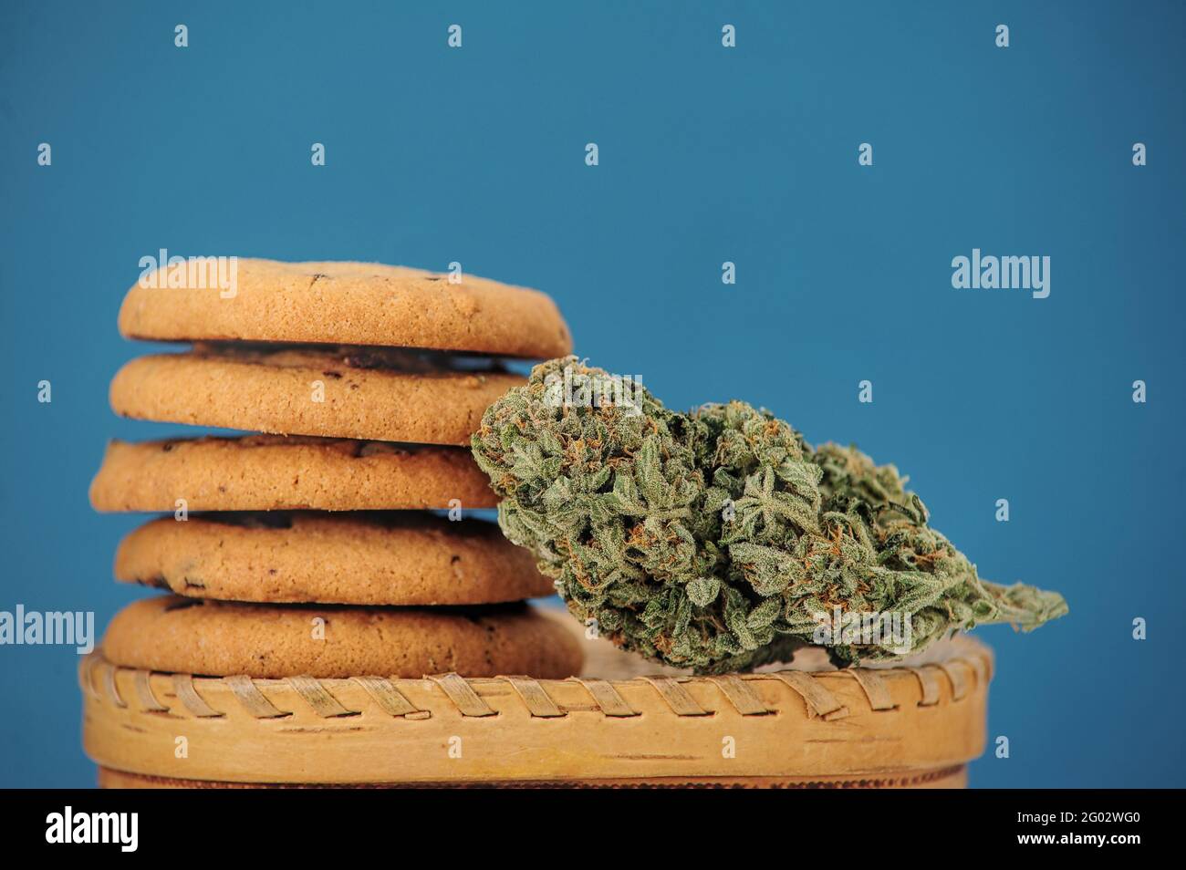 Sweets with CBD oil. Marijuana buds on blue background. Cannabis ...