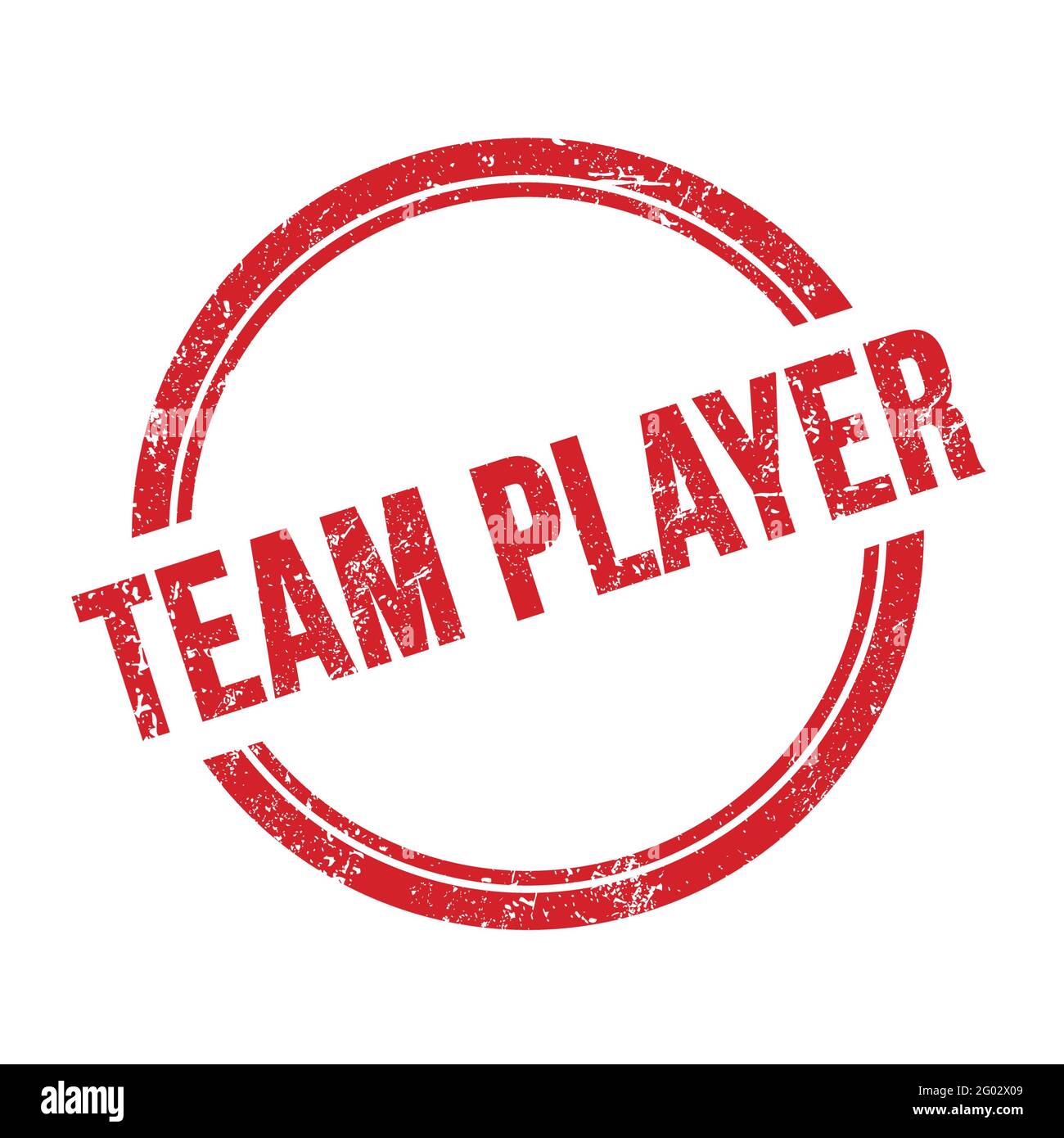 TEAM PLAYER text written on red grungy vintage round stamp Stock Photo ...