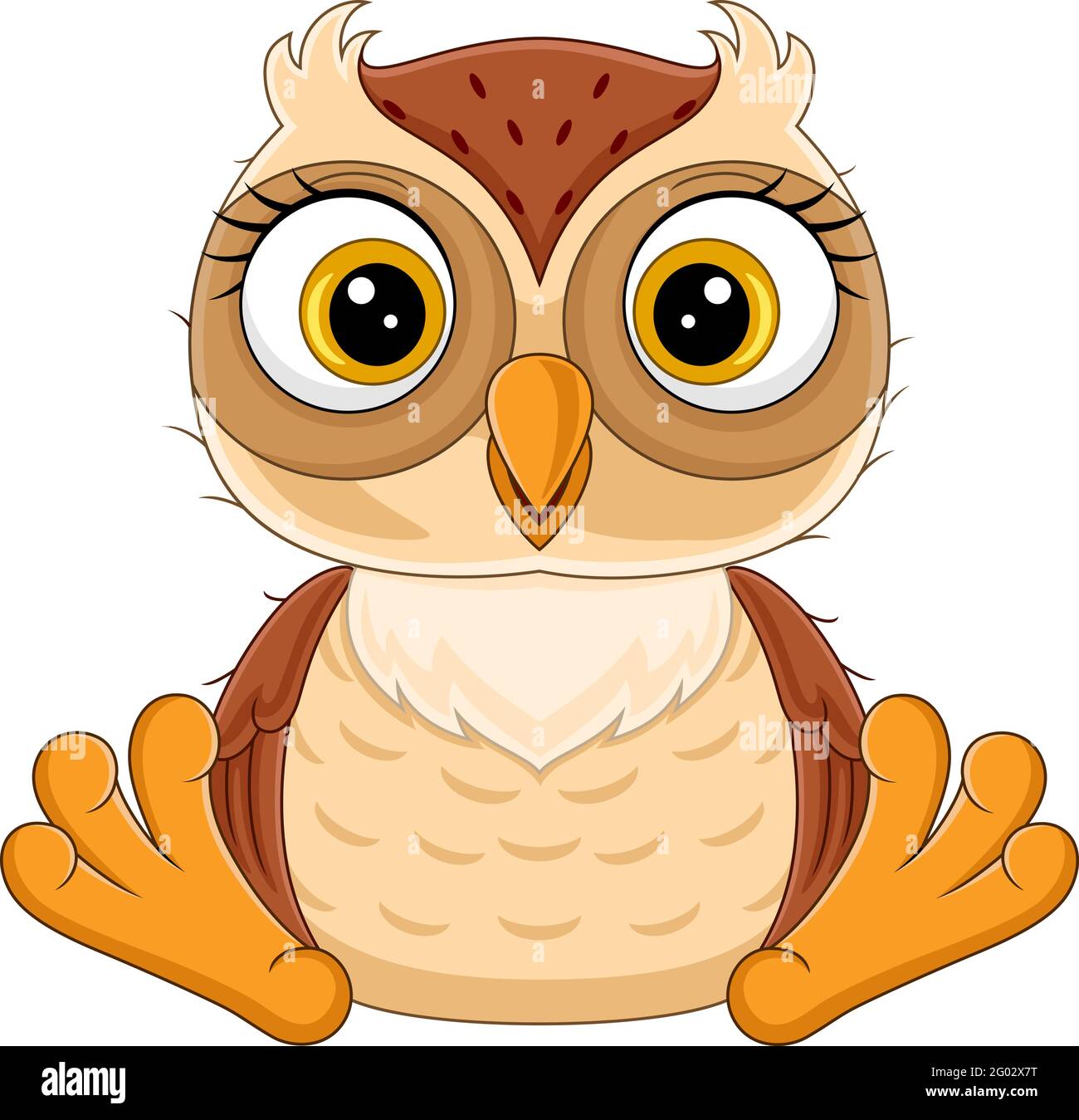 Sweet cartoon owl eyes Stock Vector Images - Alamy