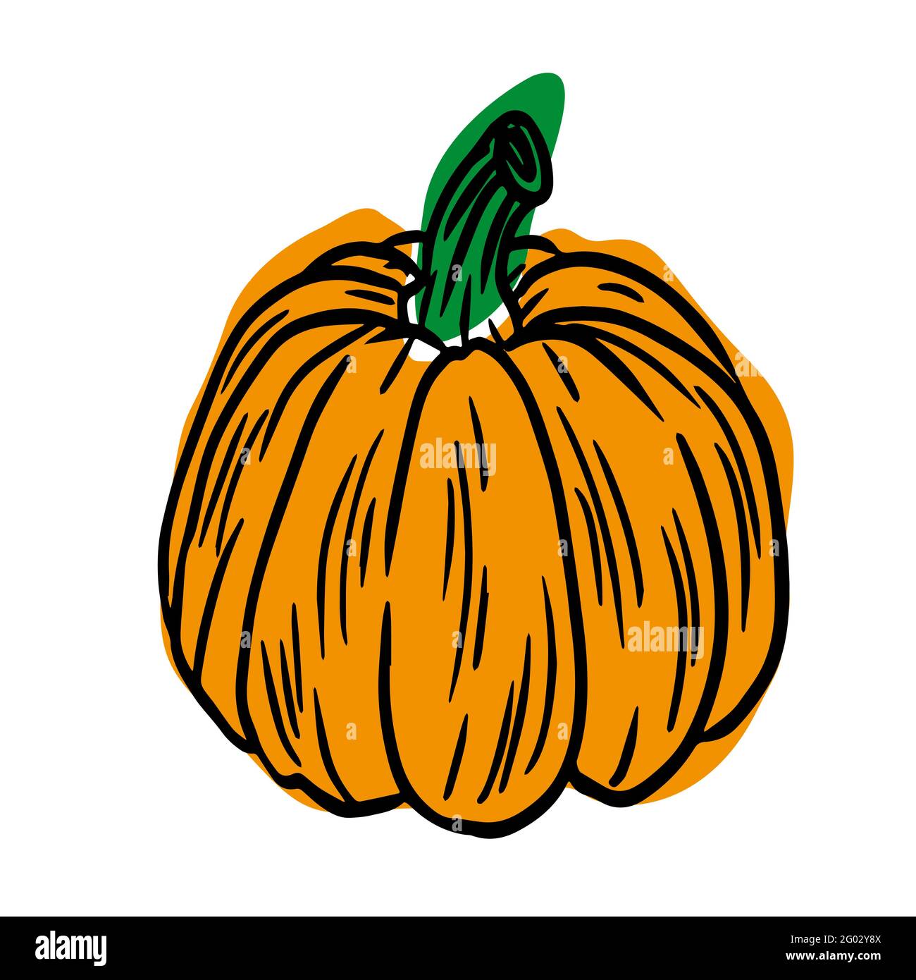 Pumpkin hand drawn illustration isolated on white background Stock ...