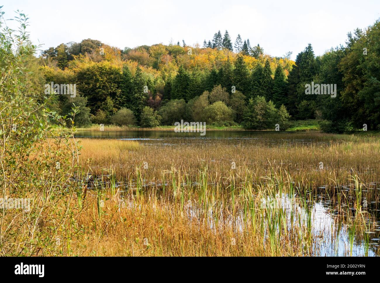 County monaghan hi-res stock photography and images - Alamy