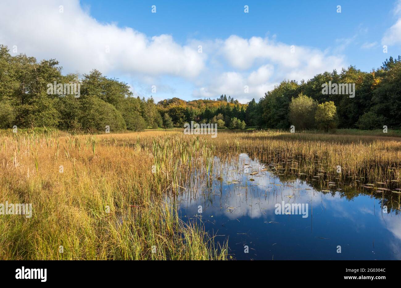Rossmore park hi-res stock photography and images - Alamy