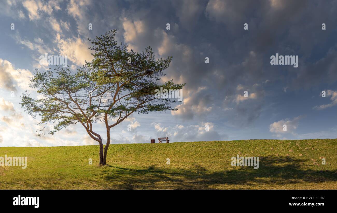 Sunset on a dike with a tree and bench Stock Photo - Alamy