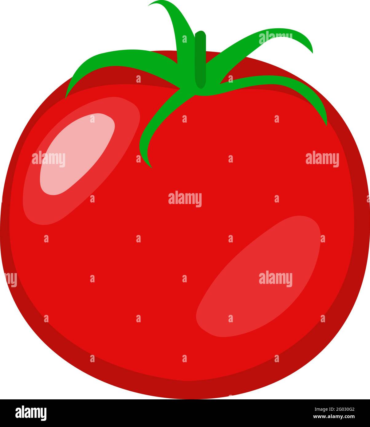 Tomato Vegetables whole. Simple food nature vector illustration Stock ...