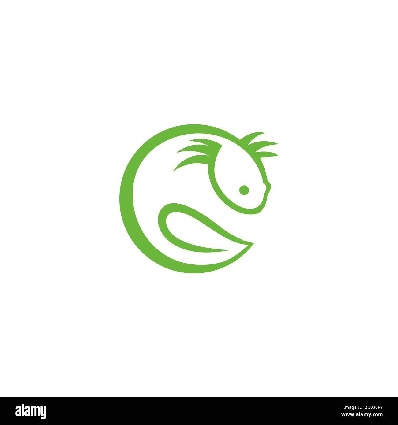 axolotl green leaf Stock Vector Image & Art - Alamy