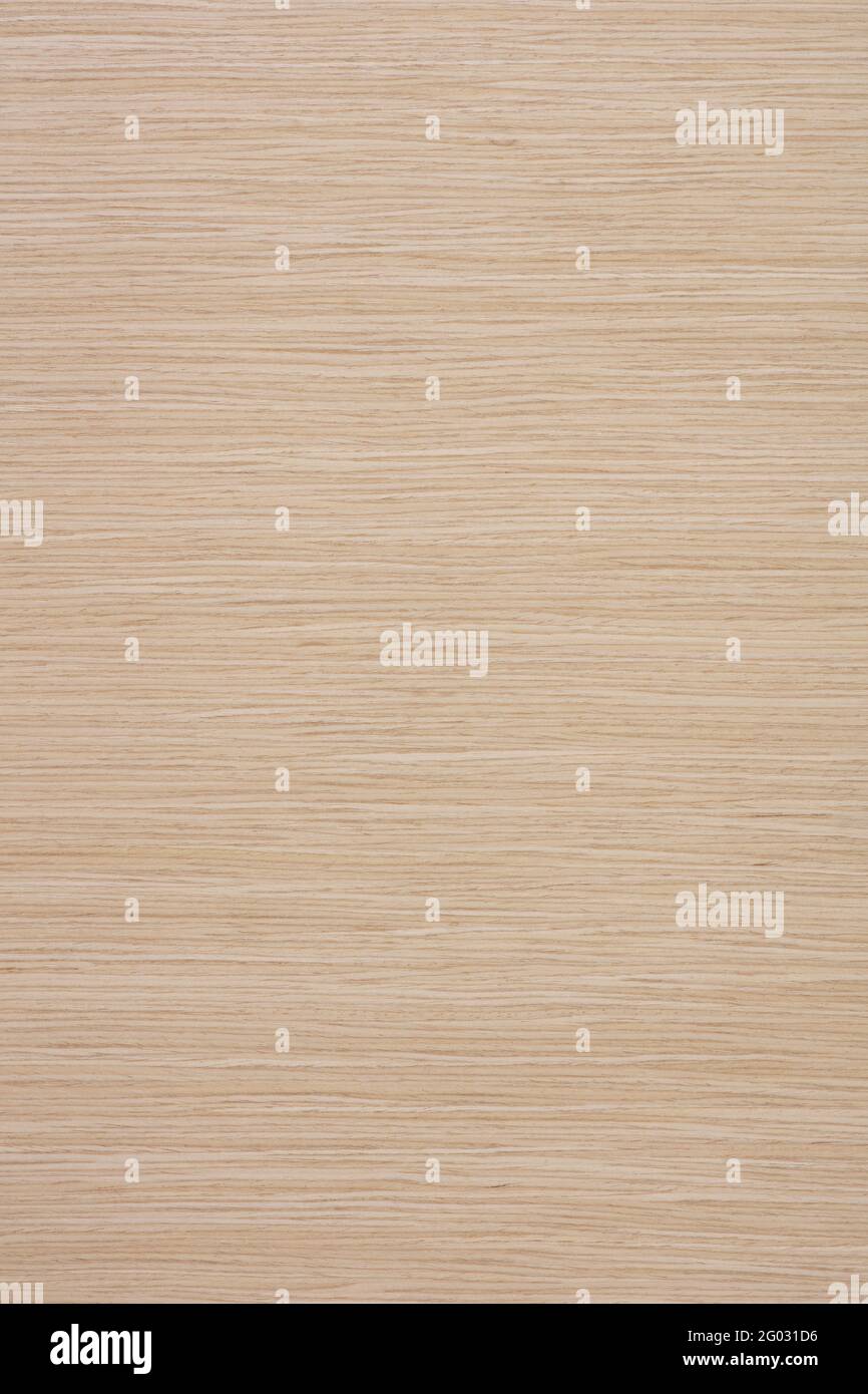 Alpi Oak veneer background in light color, texture for your classic ...