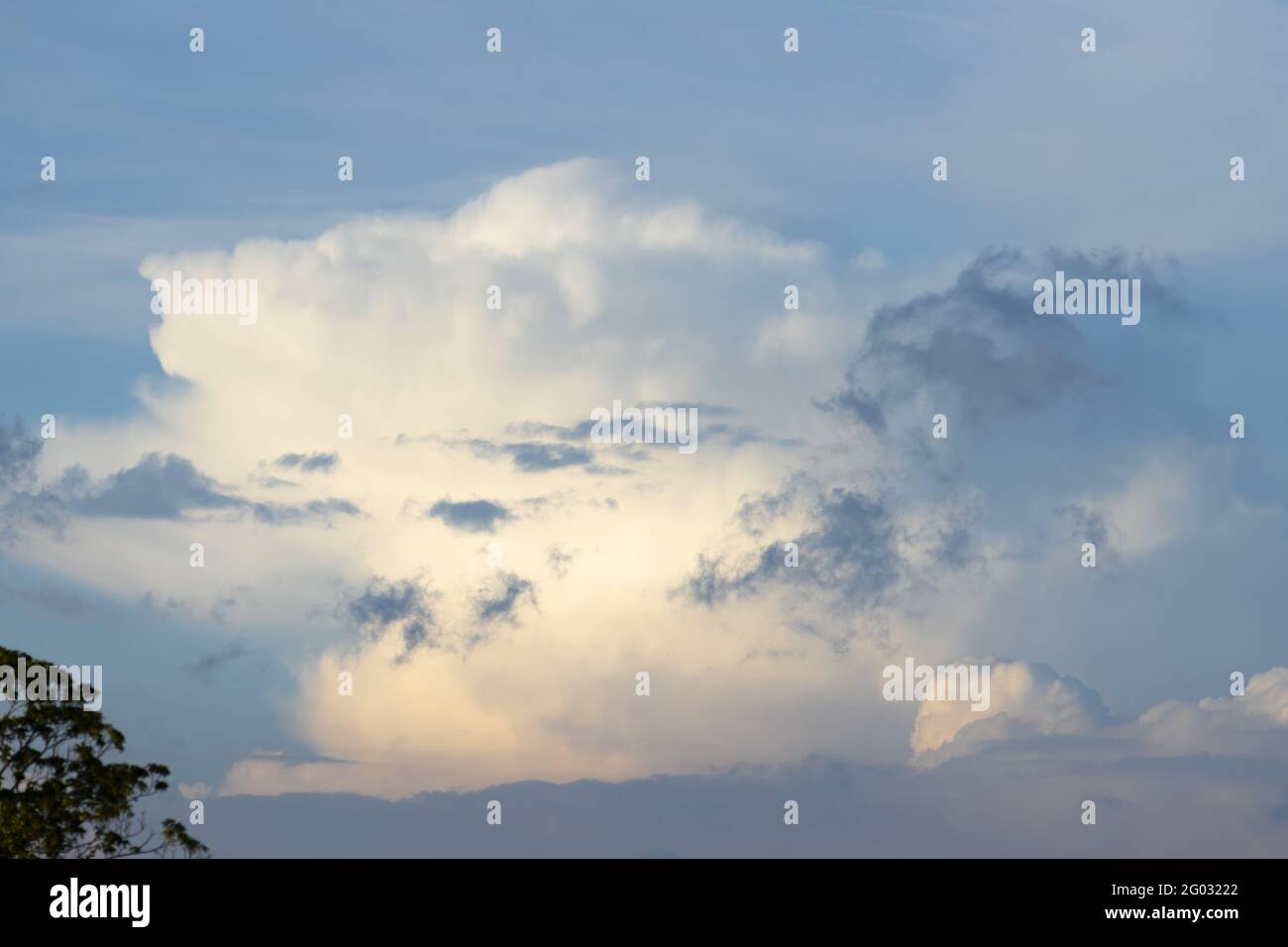 Anvil shaped cumulonimbus storm cloud clouds hi-res stock photography ...