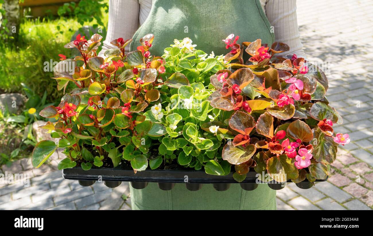 Plastic pallet hi-res stock photography and images - Alamy