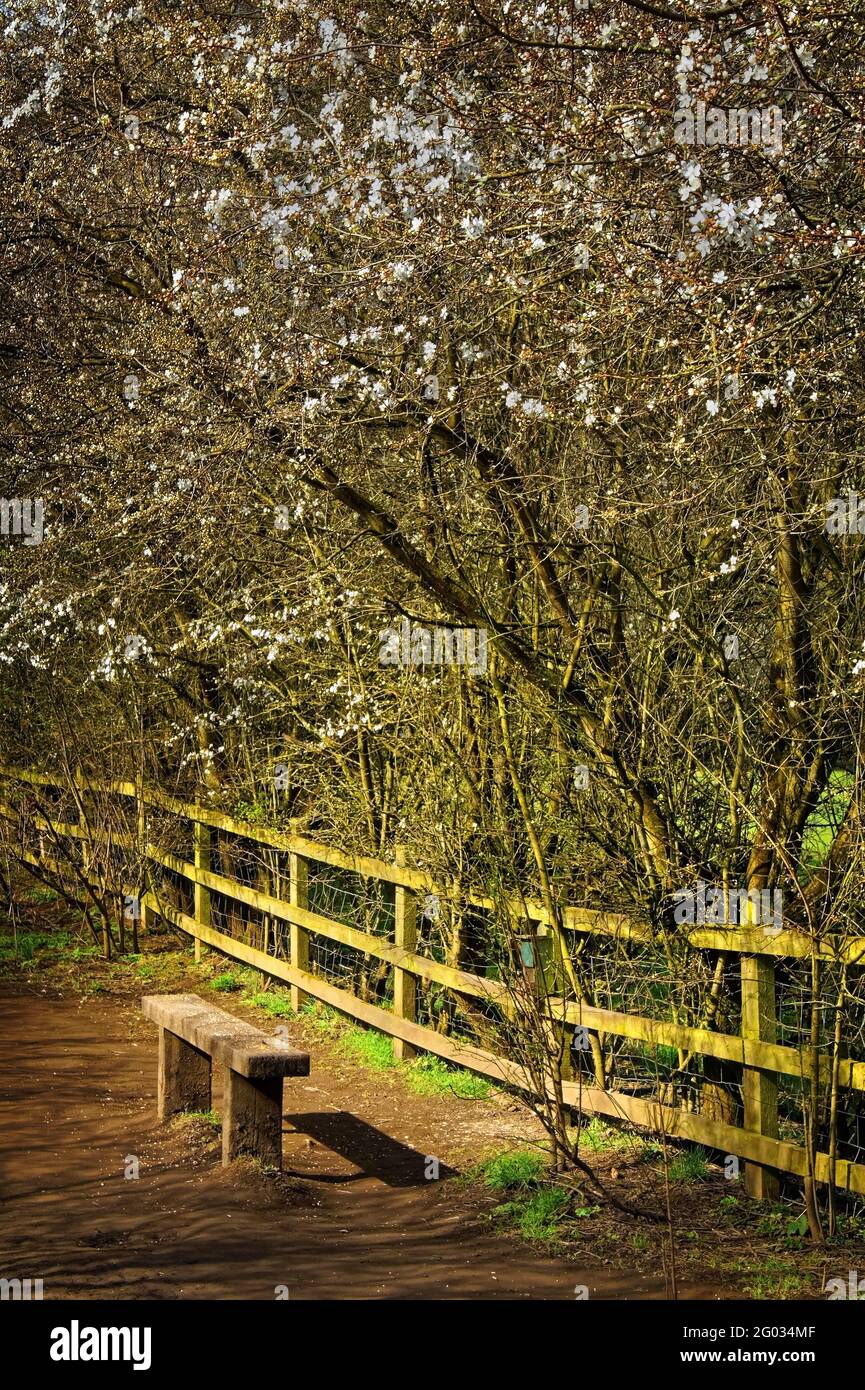 Worsbrough reservoir hi-res stock photography and images - Alamy