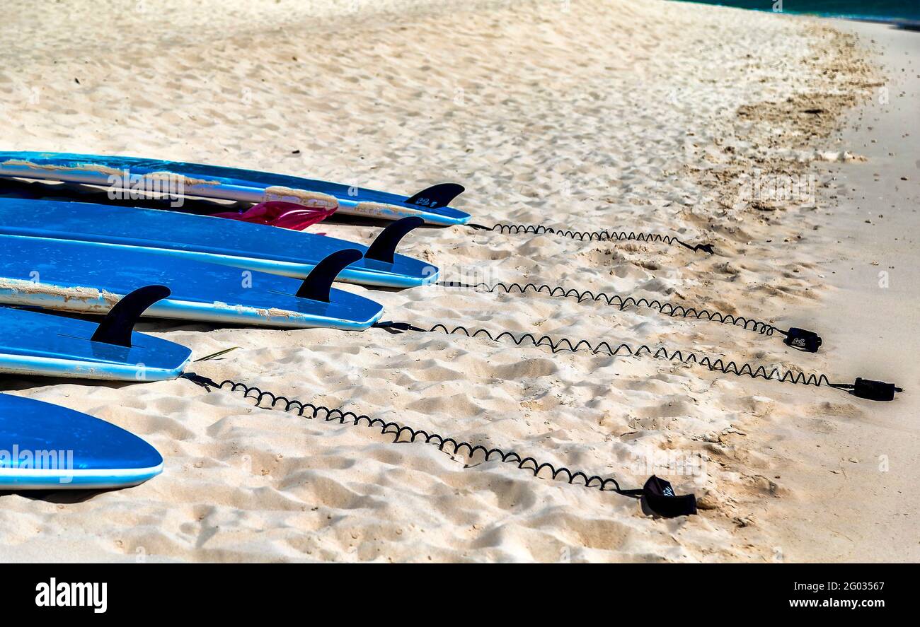 Surf boards on an empty beach Stock Photo - Alamy