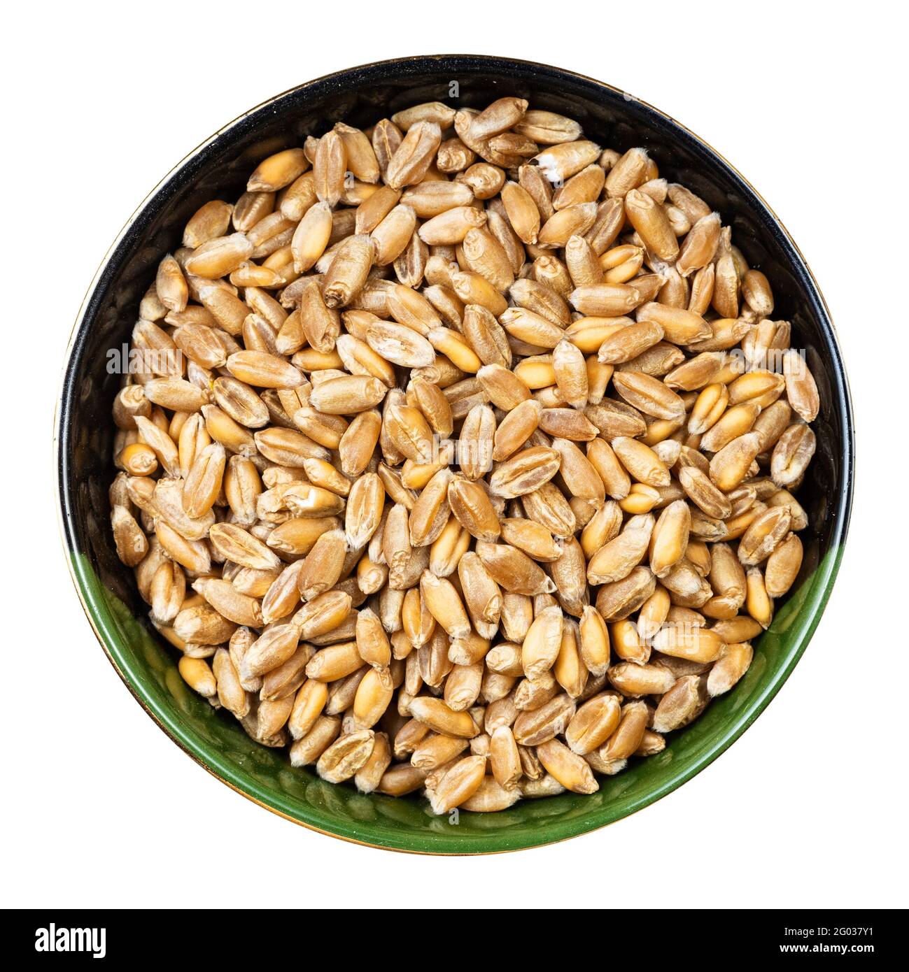 top view of whole common wheat grains in round bowl isolated on white ...