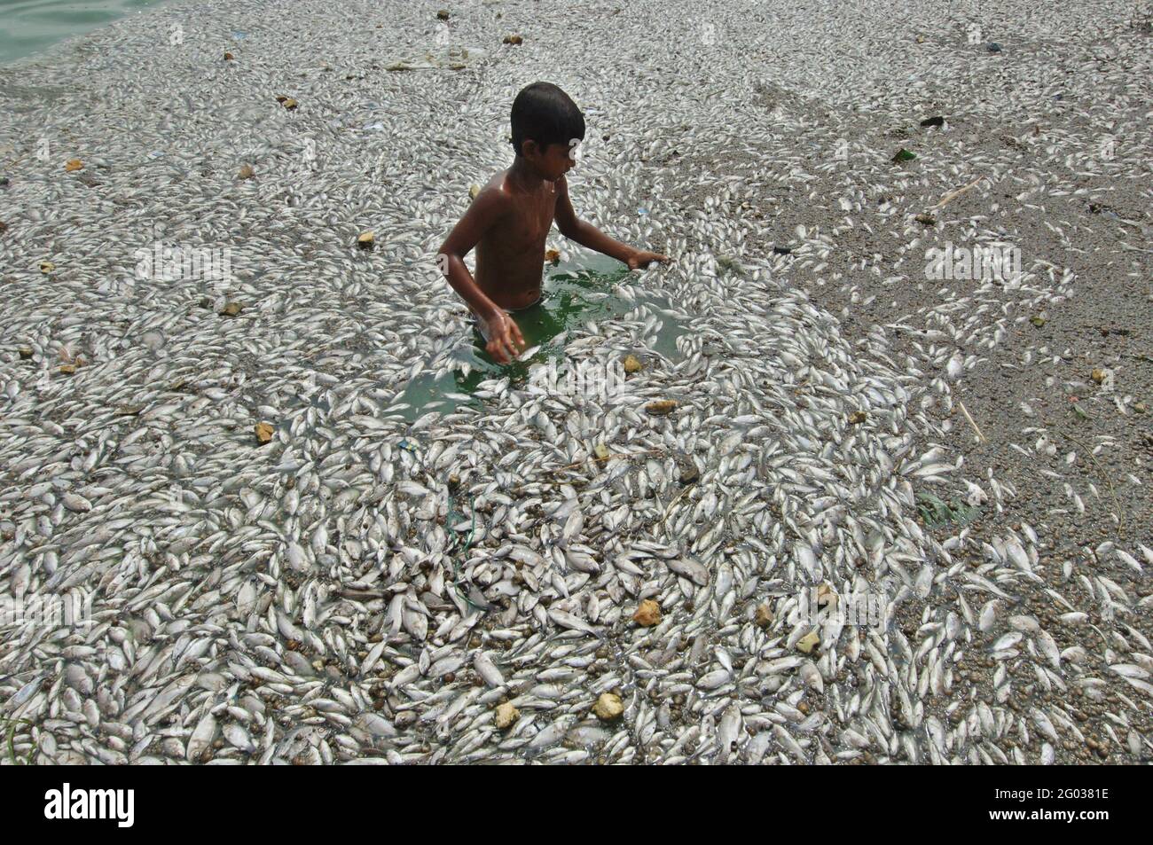 Wasa lake hi-res stock photography and images - Alamy