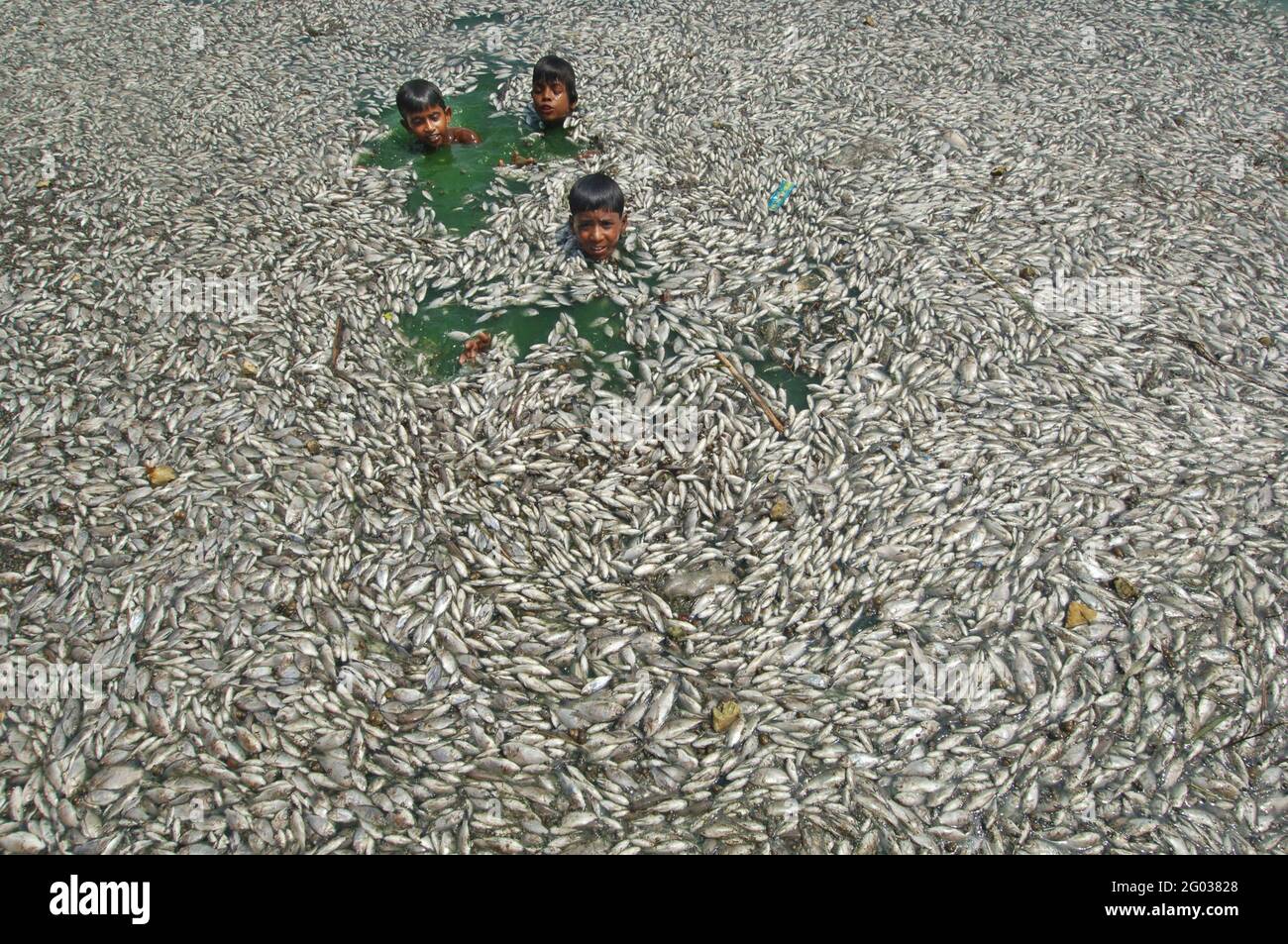 Wasa lake hi-res stock photography and images - Alamy