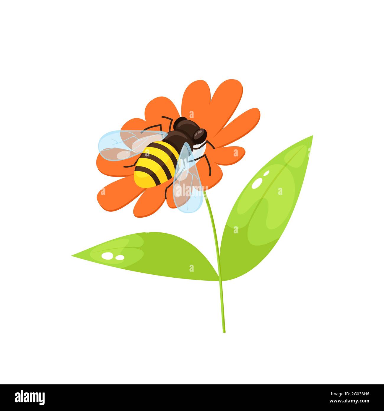 Bee in cartoon style Stock Vector Image & Art - Alamy