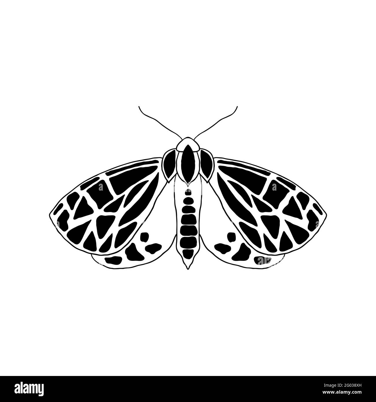 Moth drawing Stock Vector Images - Alamy