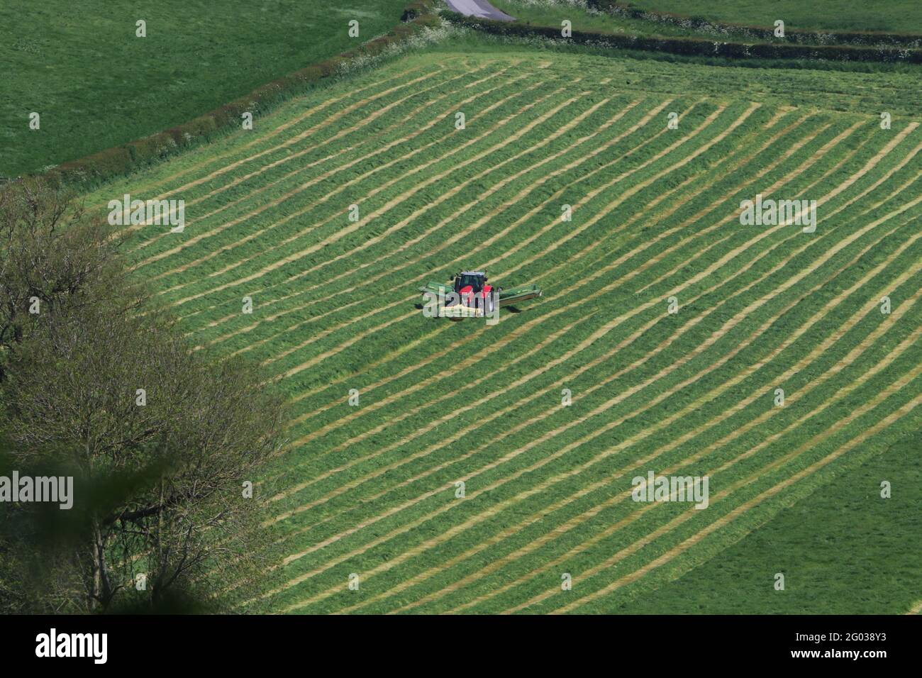 Silage making process hi-res stock photography and images - Alamy