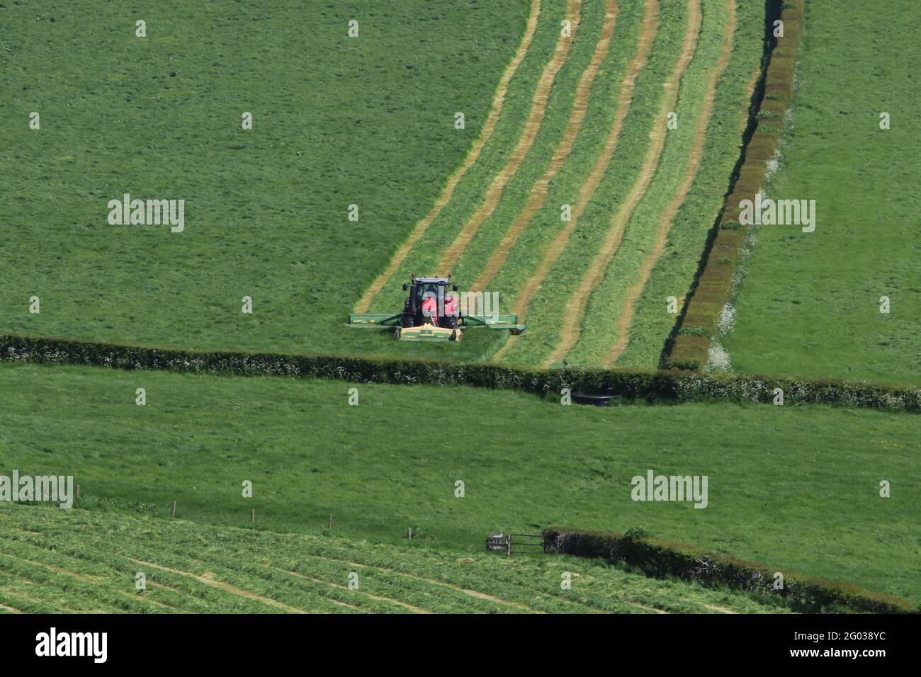 Silage making process hi-res stock photography and images - Alamy