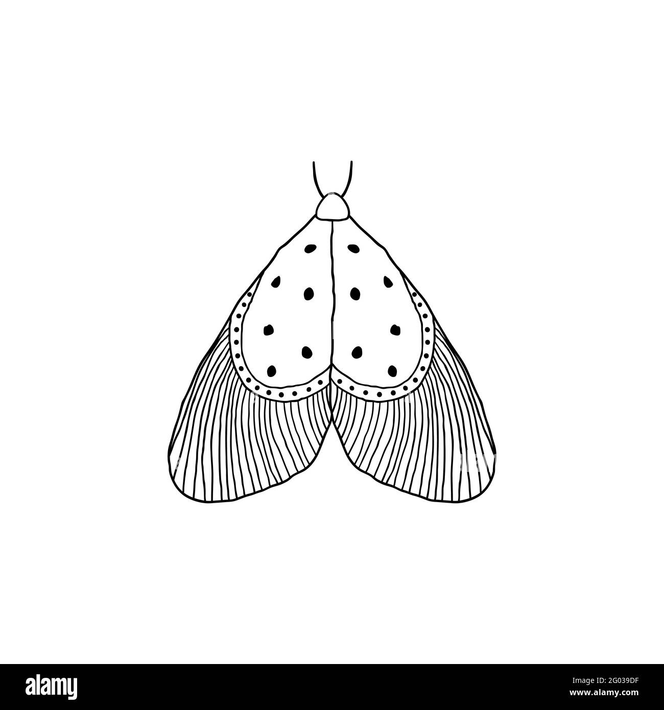 Moth outline icon Cut Out Stock Images & Pictures - Alamy