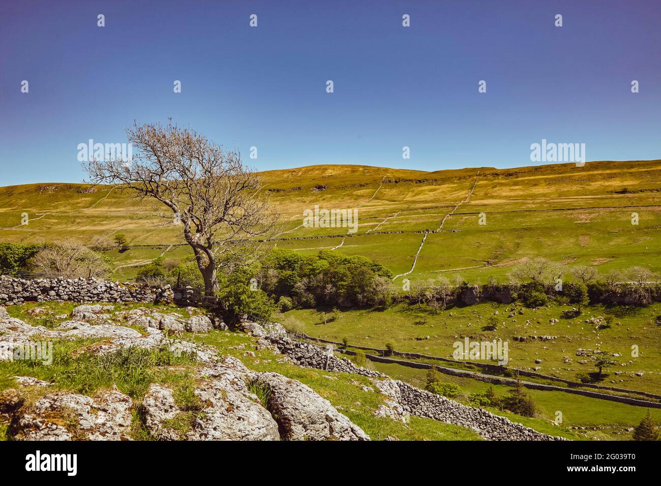 York dales hi-res stock photography and images - Alamy