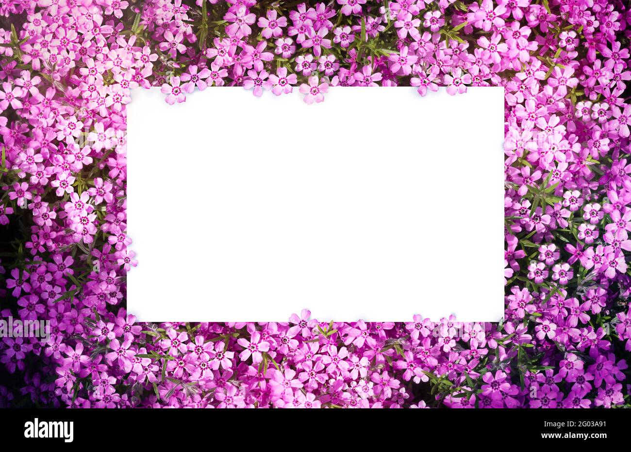 Beautiful floral background with small patterns. Large white sheet in ...