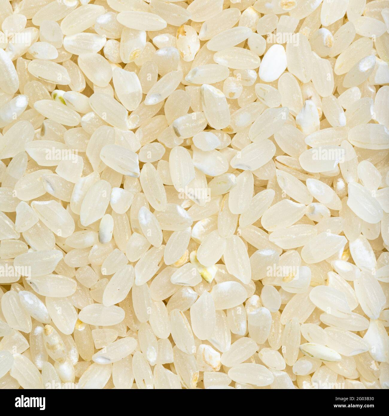 square food background - polished medium-grain rice close up Stock ...