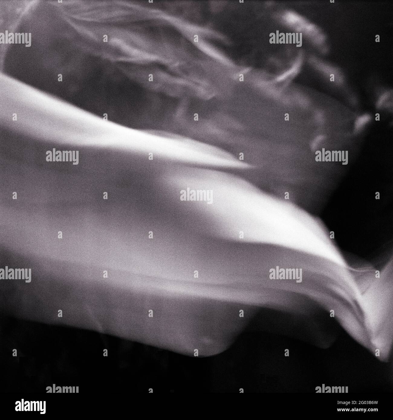 Shark scales dermal denticles hi-res stock photography and images - Alamy