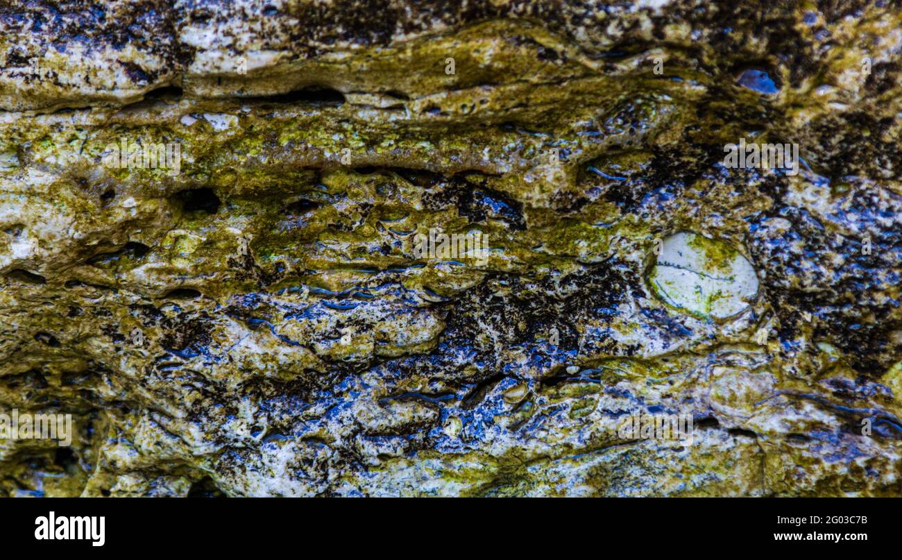 Stone wave and person hi-res stock photography and images - Alamy