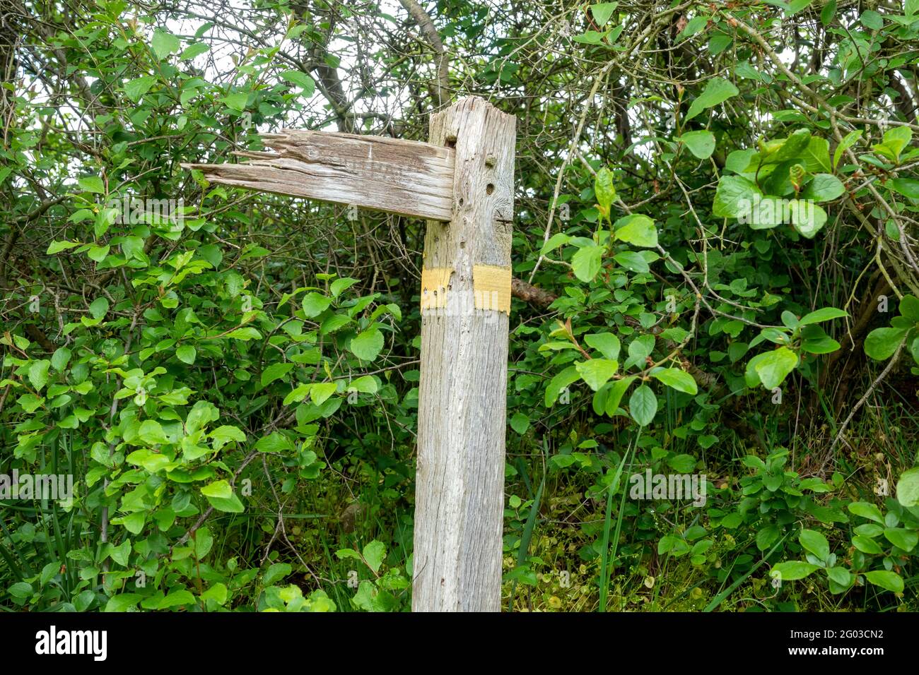 Public footpath sign in rural setting Stock Photo - Alamy