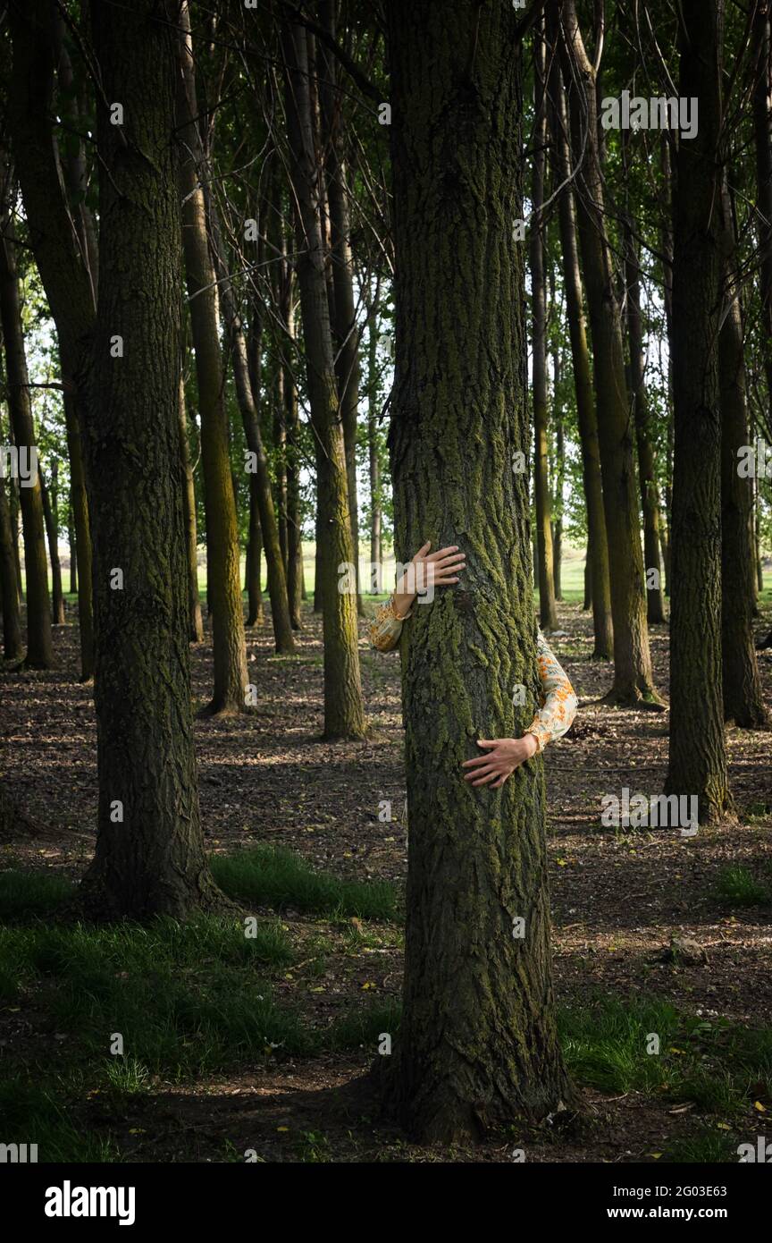 Woman hugging tree hi-res stock photography and images - Alamy