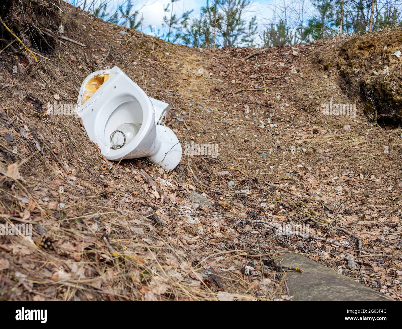 Toilet Litter. Pollution of the forest by household rubbish on nature ...