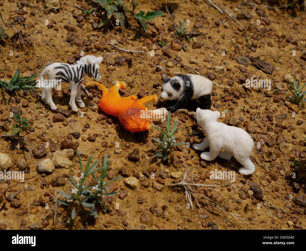 Multiple Toy animal attacking on Lion in the forest background, Lion ...