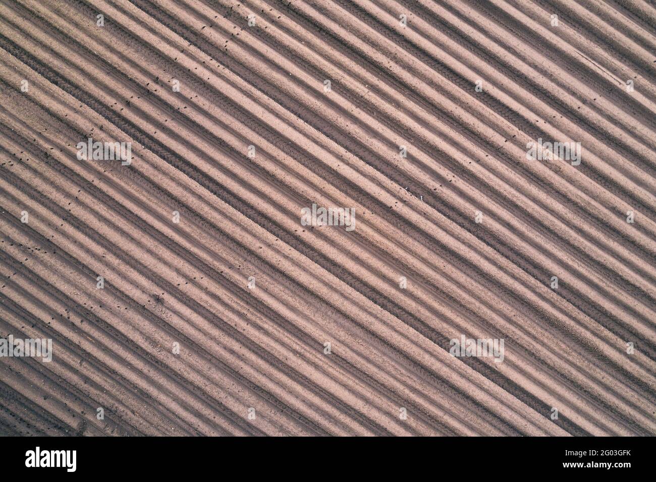 Aerial view of furrows on brown raw plowed field Stock Photo - Alamy